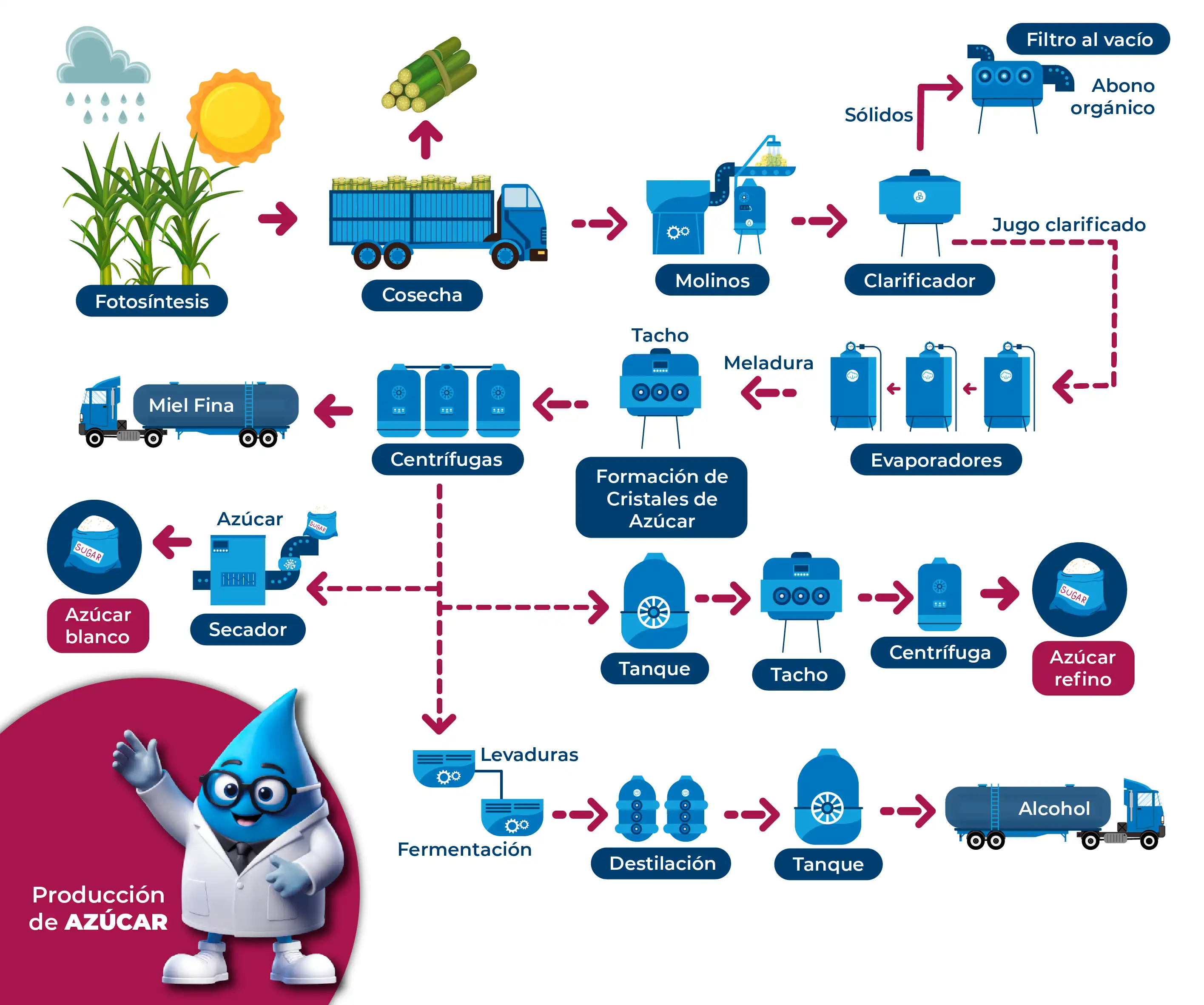 Producción del Azúcar